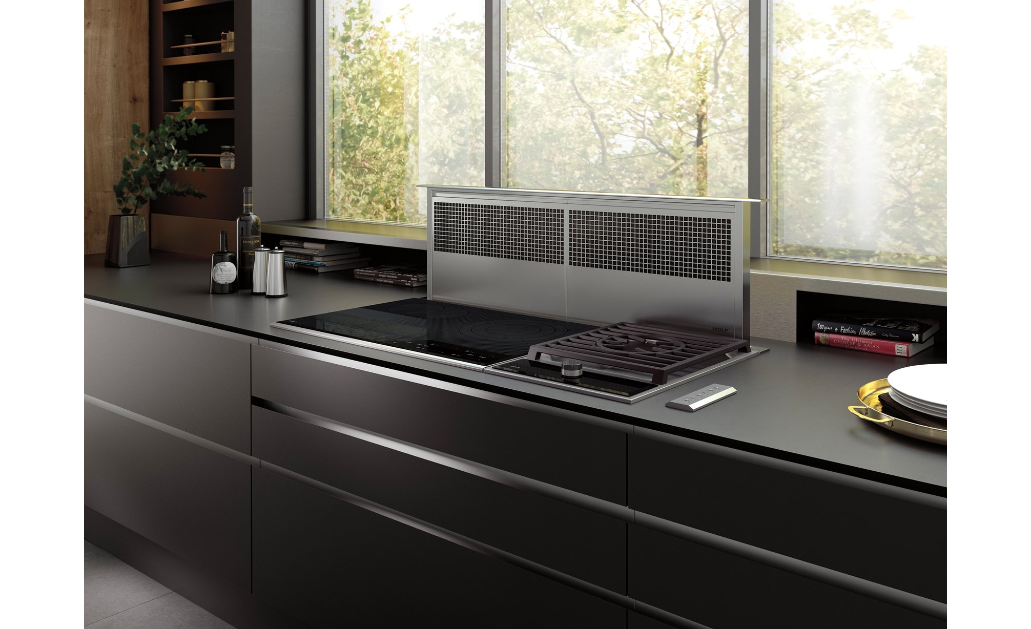 Built in Range, Cooktops, Convection & Steam Ovens, Ventilation, & More ...