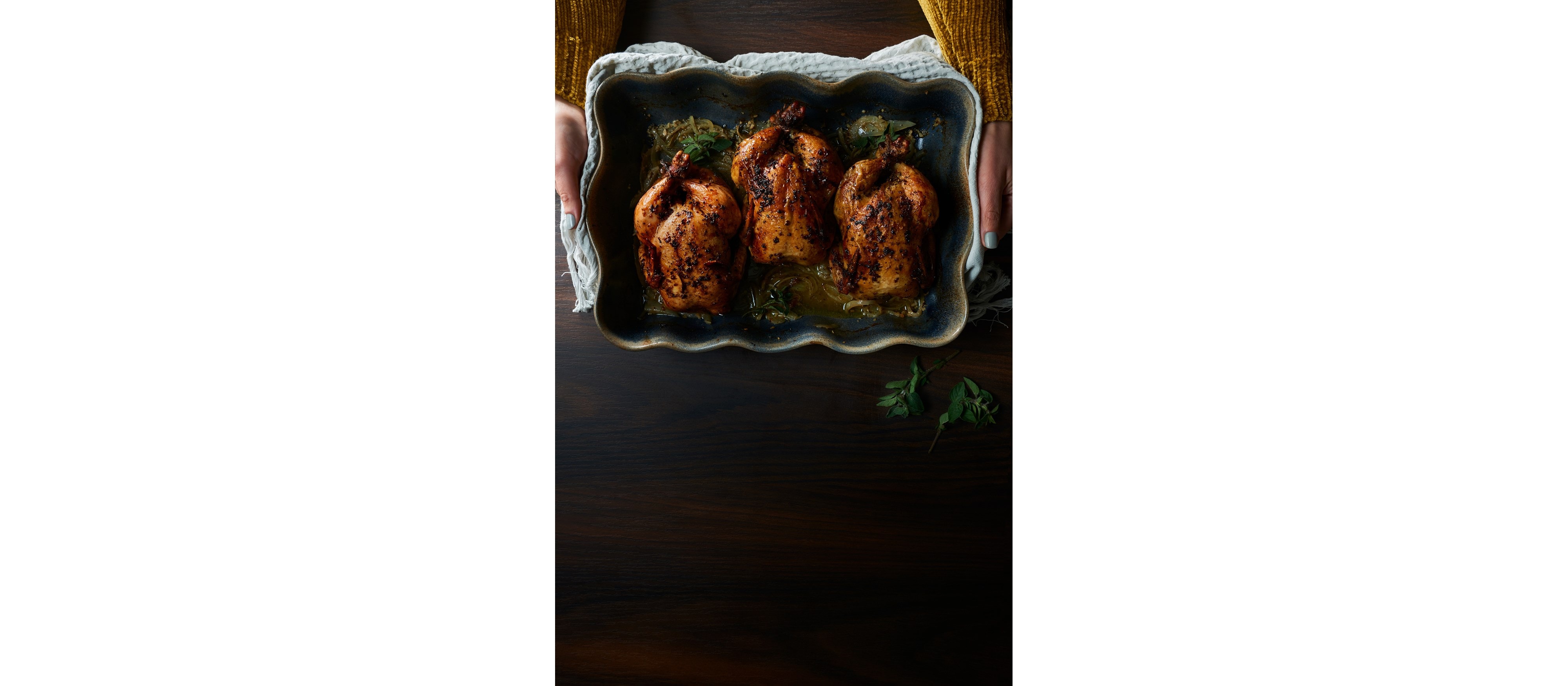 Poultry and Game Recipe | Cornish Game Hen | Wolf Speed Oven